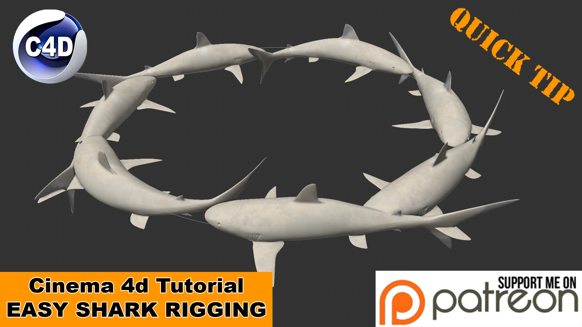 Easy Shark Rigging @ NIKOMEDIA